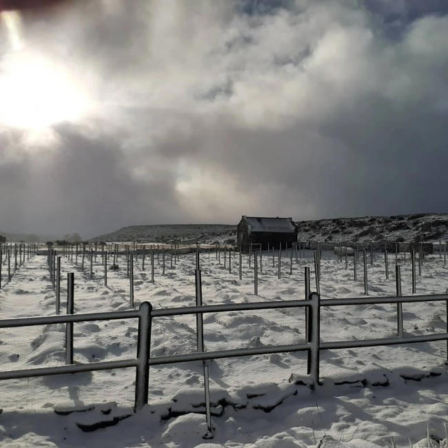Chasing snow in SA? Where to find the brrrr(illiant) views this week ...