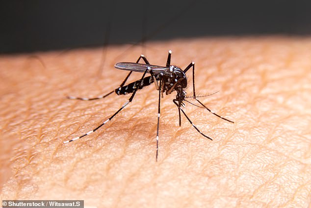 Outrage as Google plans to release 64 million bacteria-infected ...