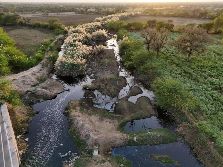 Pollution Control Board to test samples from Jojari, Bandi and Luni rivers