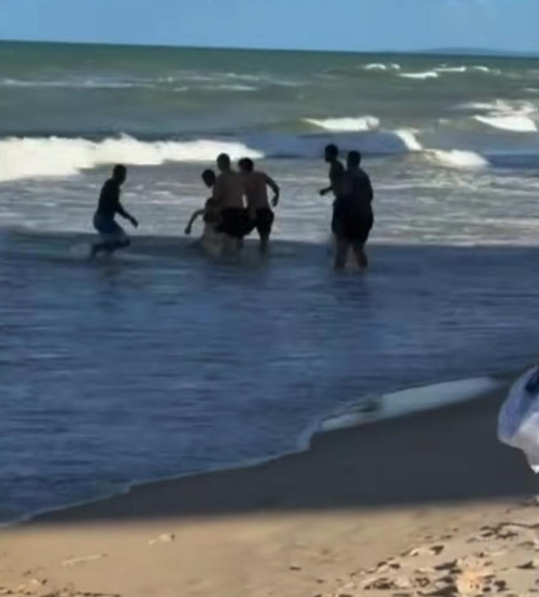 Teen girl loses leg in shark attack 10 minutes from where boy was ...