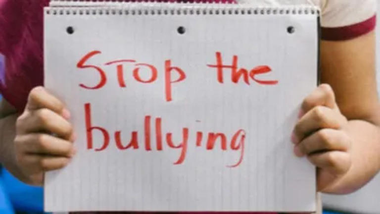 Concerns grow over bullying and harassment at Reddam preparatory school