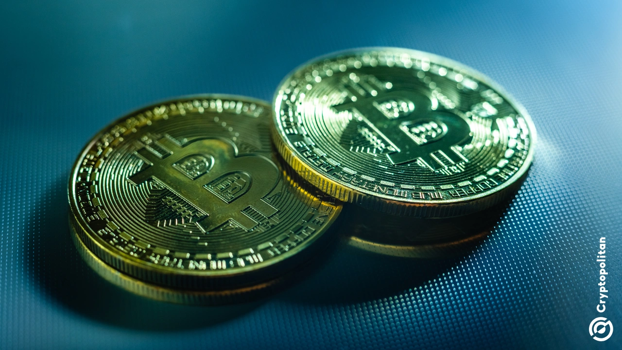 Strive adds 2,500 bitcoin for $185 million, lifting total holdings to ...