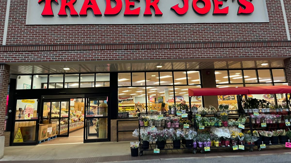 This Trader Joe's dog treat is the summer snack pups have been waiting for