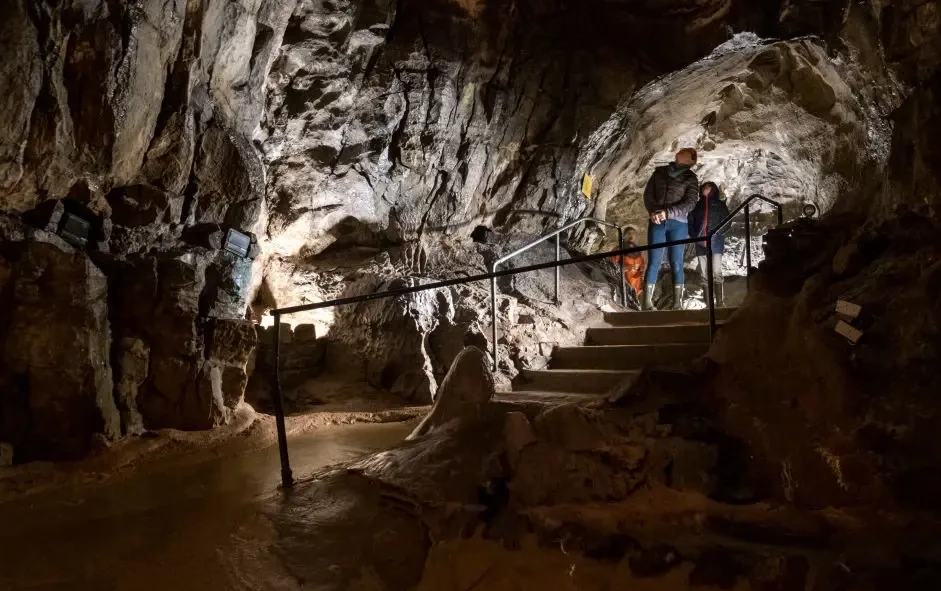Scientists confirm 17,000-year-old rock art in Welsh cave