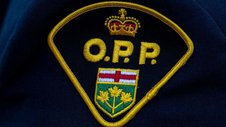 OPP officer demoted for 3 years after slapping officer’s buttock at ...