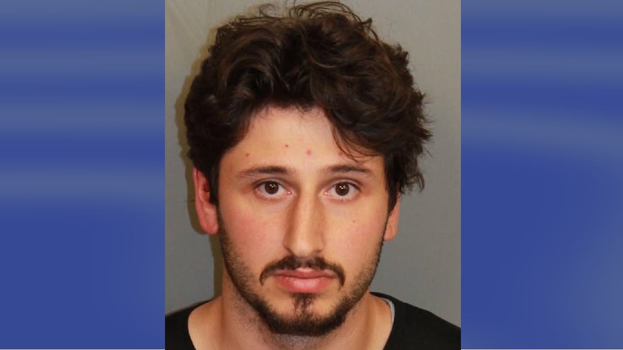Man accused of throwing 5 kittens out of moving vehicle on Alabama ...