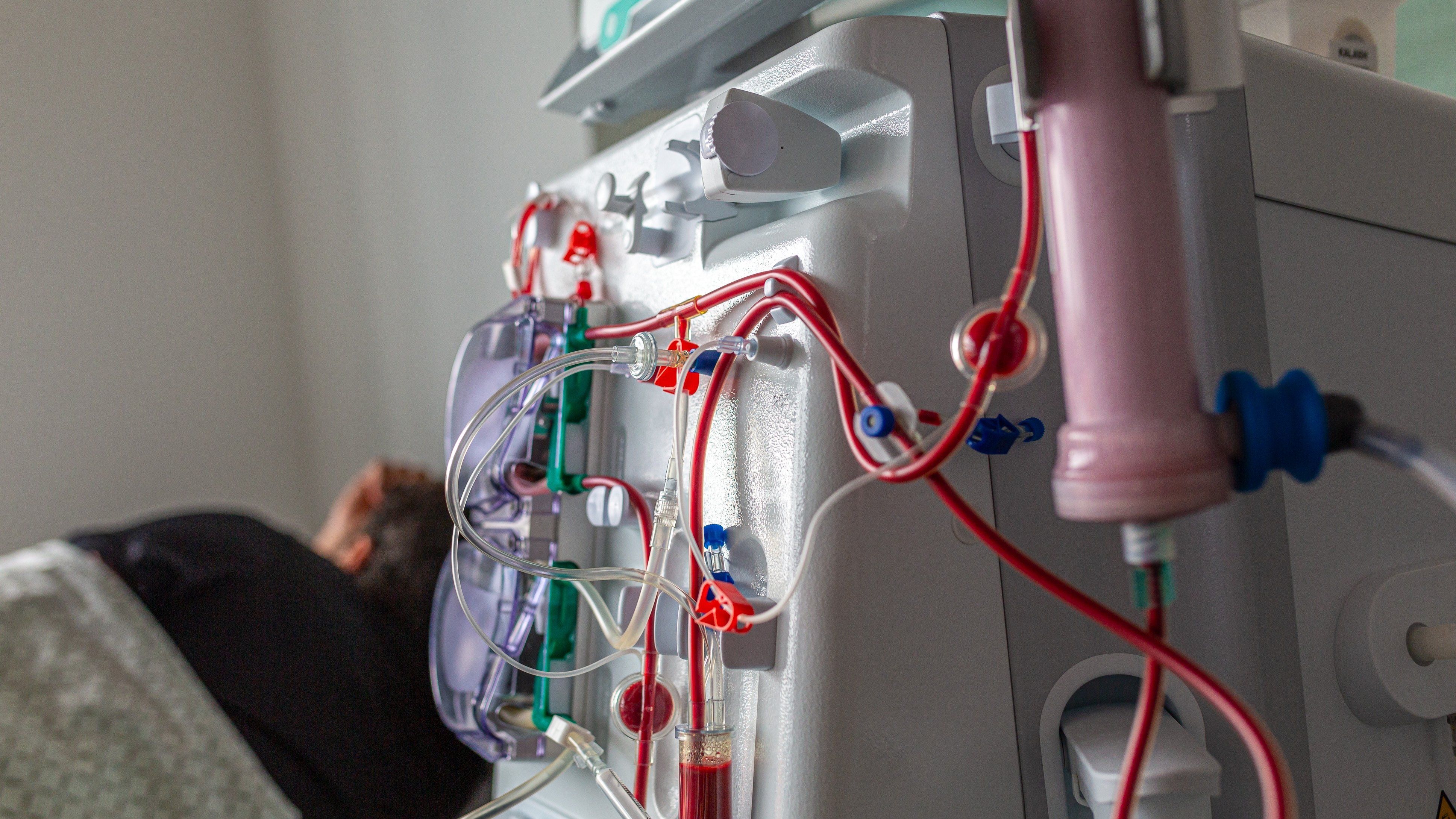 Kliniki obiecują młodość dzięki oczyszczaniu krwi. "Szybkie myśli, cera ...