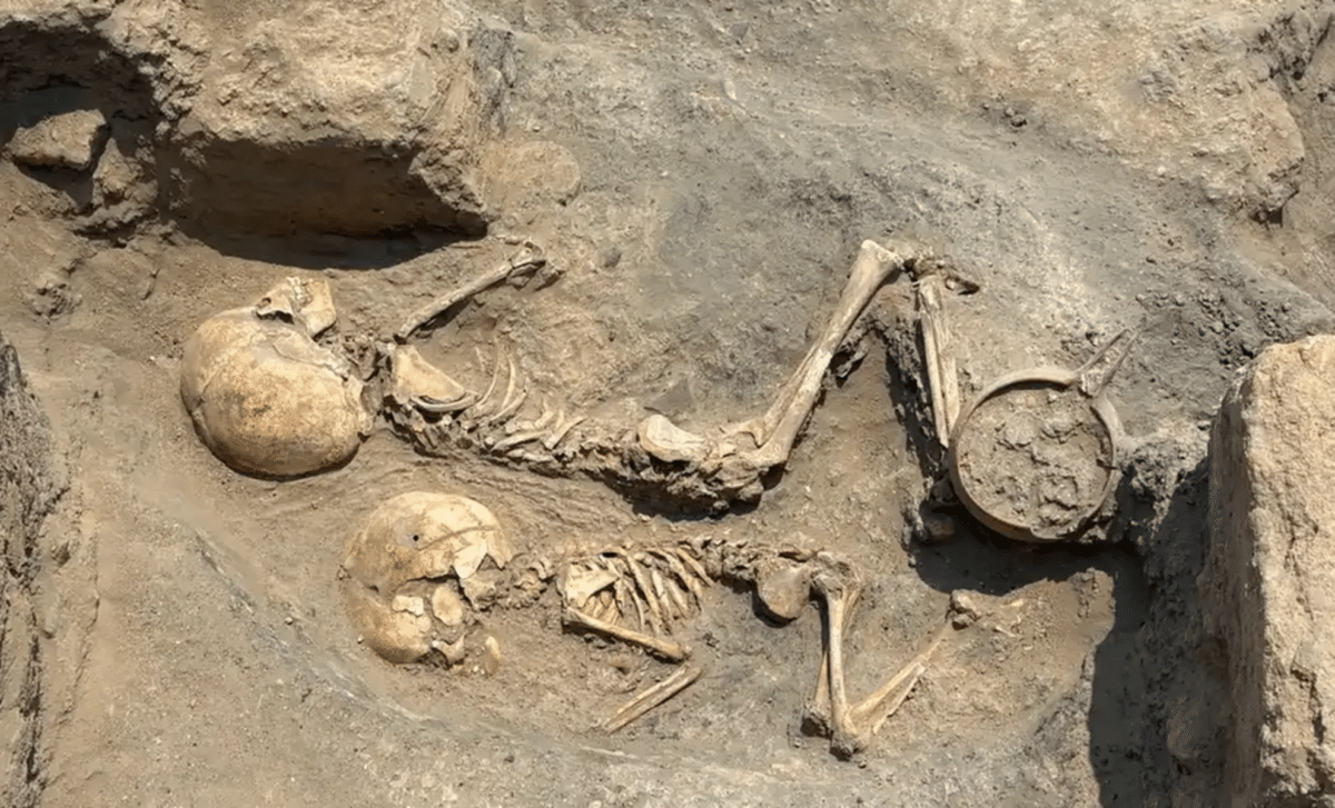 4,000-year-old Bronze Age child skull found in Uzbekistan reveals ...