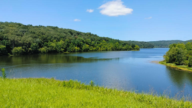 Indiana's lush national forest is a Midwestern haven with rolling hills ...