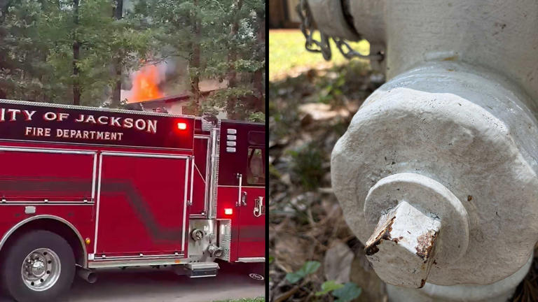 Jackson mayor calls for action after painted-over hydrant slows fire ...
