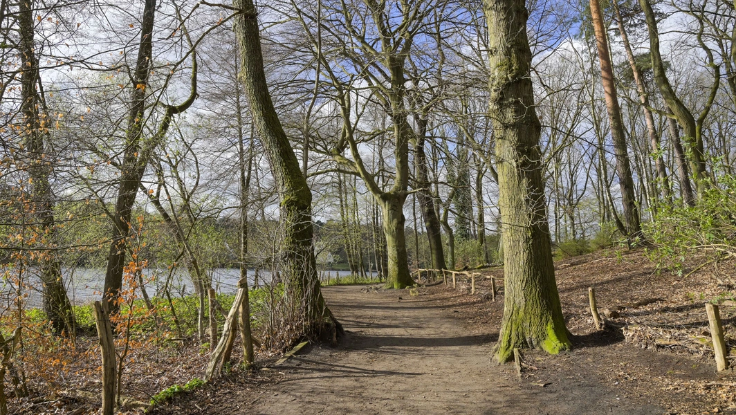 One-hour nature walk shown to ease stress in brain study