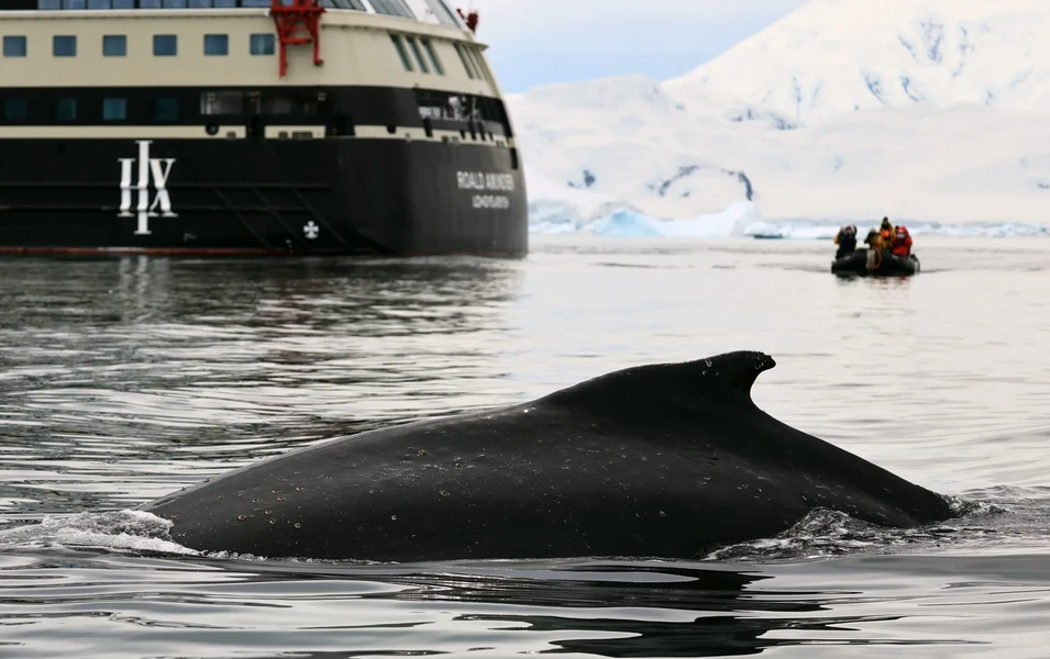 Luxury polar cruises draw attention as demand rises