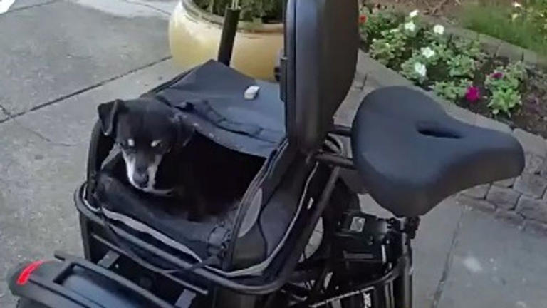 Stolen bike, dog reunited with owner after Kent sergeant takes unusual ride