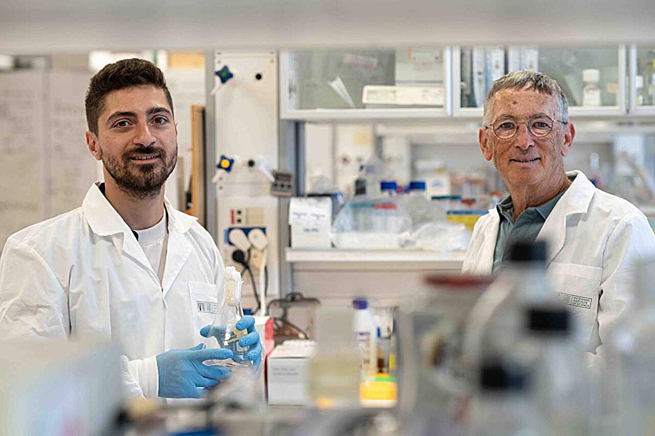 Lab evolution recreates COVID's path to omicron in months, reveals key ...