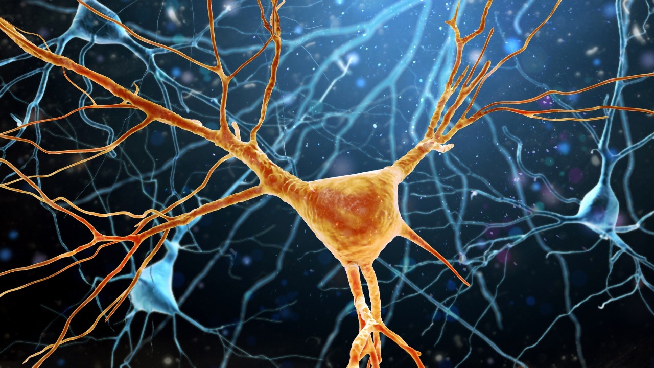 MIT just discovered 30% of the brain’s synapses are sitting silent ...