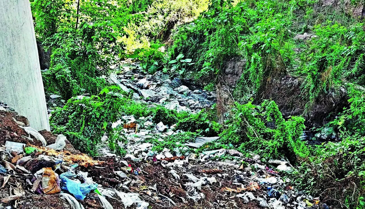 Chandigarh’s waterways polluted, National Green Tribunal demands 'zero ...