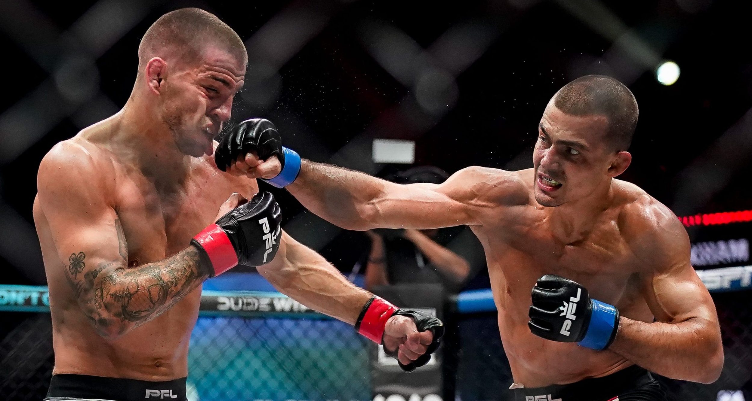 Netflix, Fox in talks with MMA league