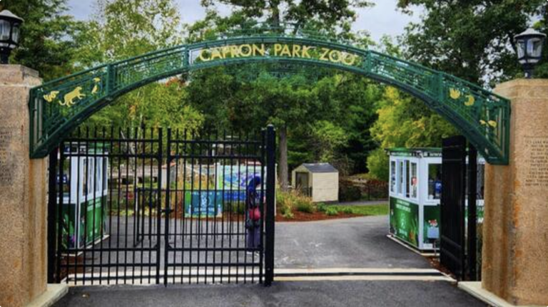 Feeling under the weather? Capron Park Zoo has a surprisingly simple ...