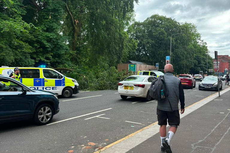 Glasgow motorists face disruption as large tree falls on busy southside ...