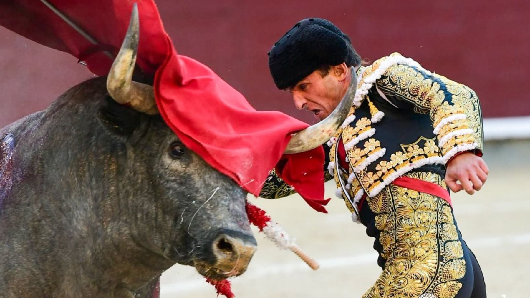Pinceladas de Damián Castaño y Gómez del Pilar en una exigente corrida ...