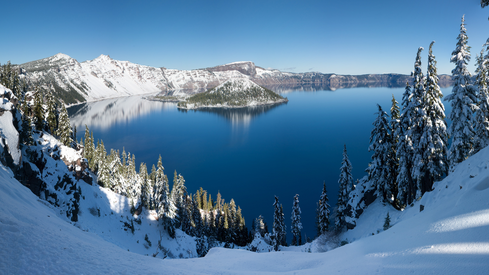 Newts found only in Oregon’s Crater Lake may finally get endangered ...