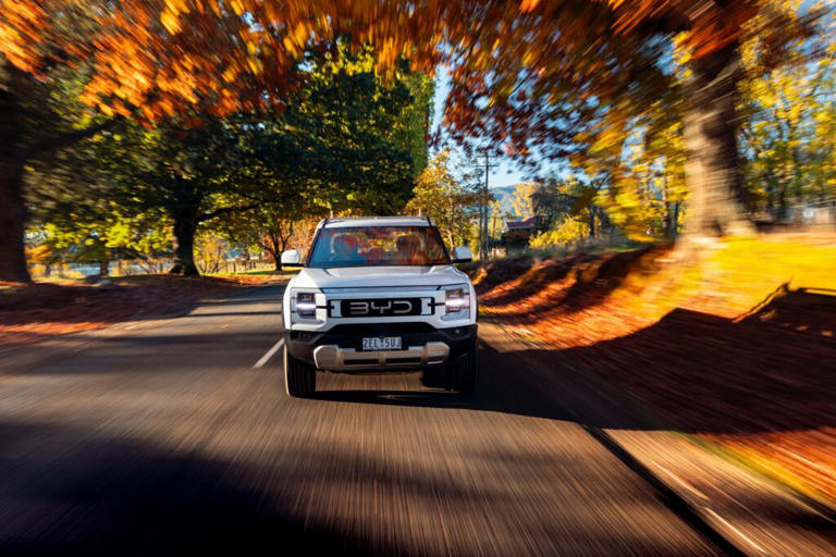 The OECD has a special word for China’s $11.4 billion car habit, and it ...