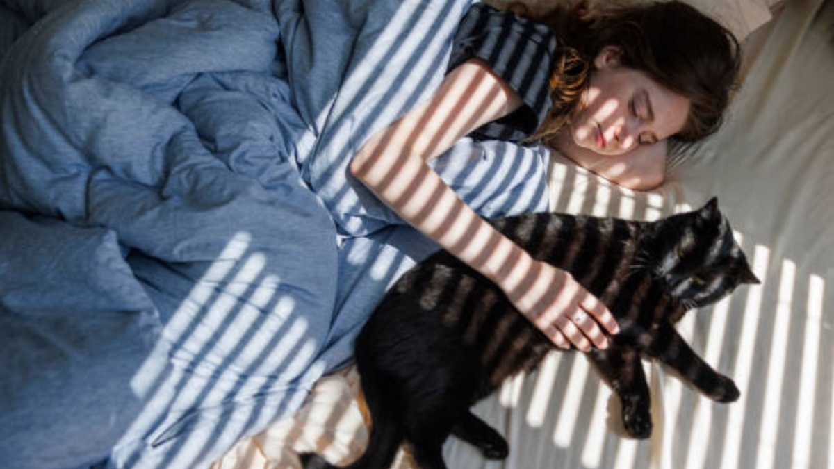 If your cat sleeps beside you every night, here's what it could mean