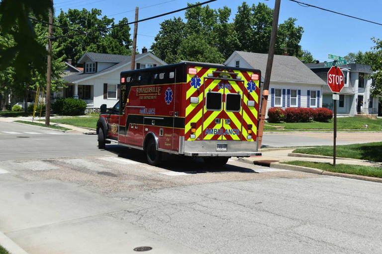 Woman struck in Edwardsville crosswalk; police search for missing dog