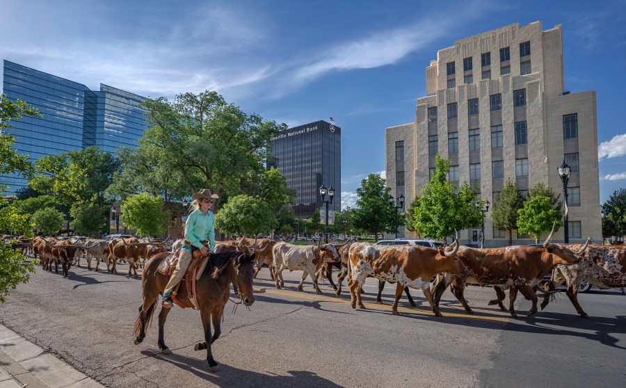 Amarillo Coors Cowboy Club cattle drive returns