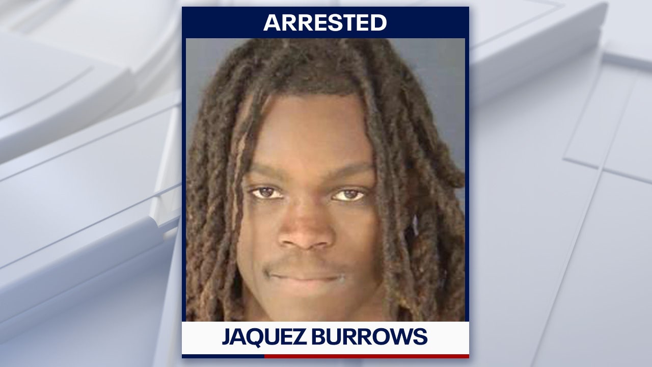 Armed vehicle burglary suspect caught after running from Sarasota police