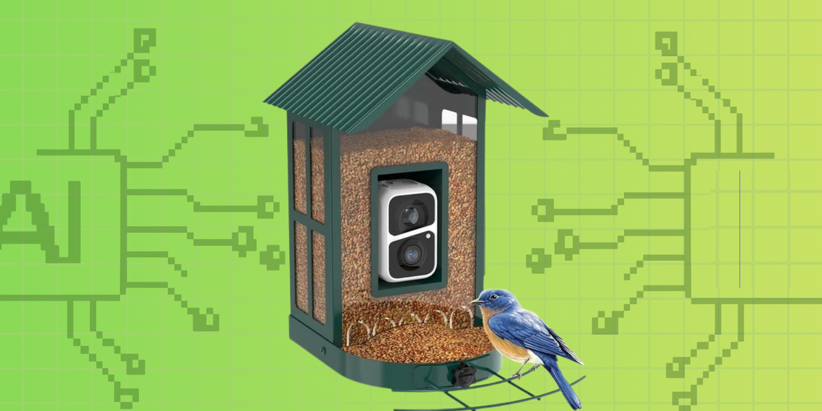 I tried an AI bird feeder and it took my birdwatching to the next level