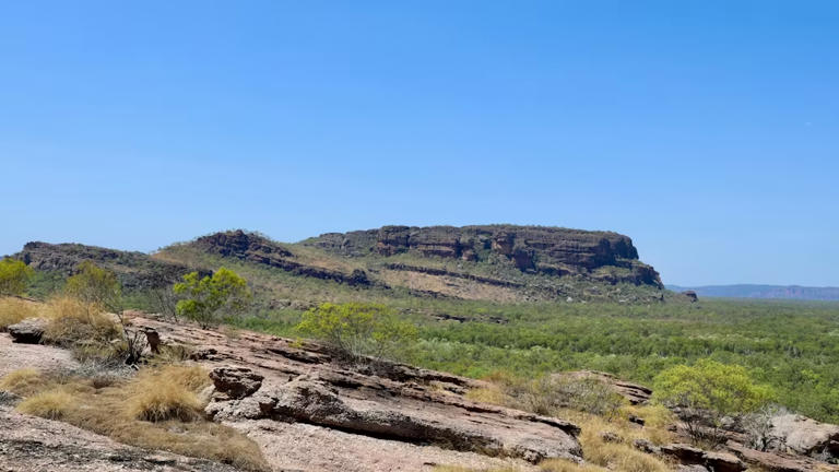Australian microfossils reveal complex cells living on an ancient ...