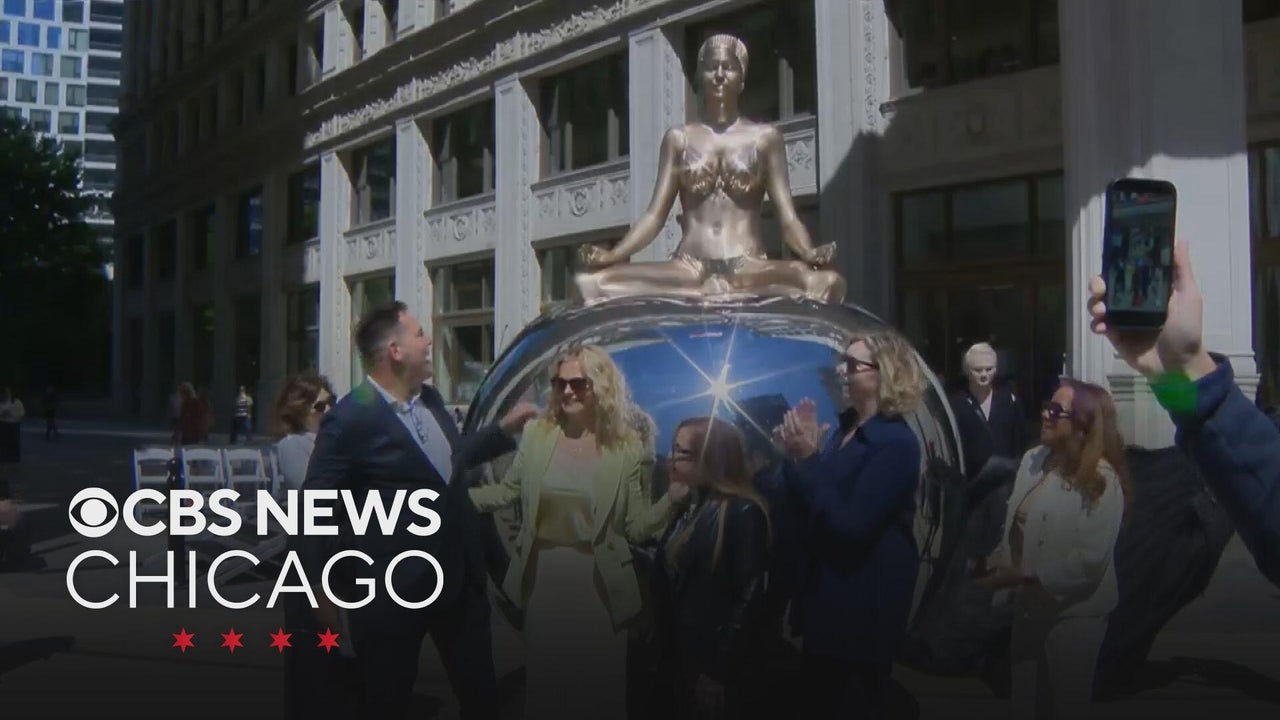 "Monuments of Stillness" art installation opens on Michigan Ave.
