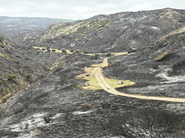 NASA images reveal Santa Rosa Island fire burn scar covering third of ...