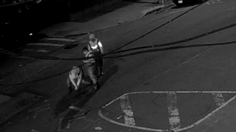 'Like the Ninja Turtles': Videos show groups climbing in and out of ...