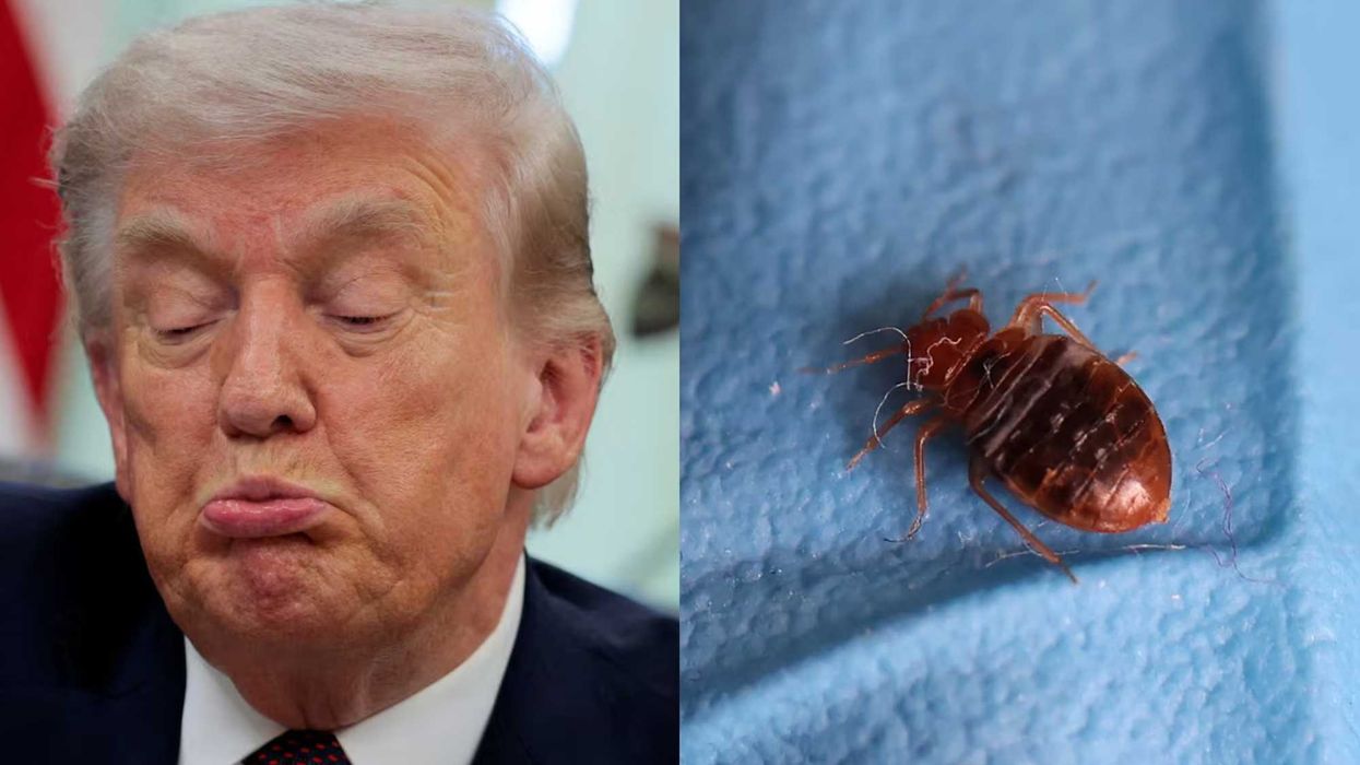 Trump's insect defense agency has a bed bug infestation
