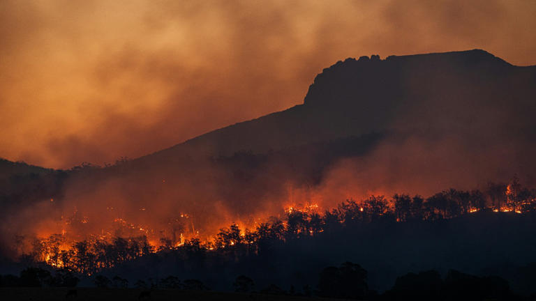 AccuWeather now forecasts 65,000 to 80,000 US wildfires this year ...