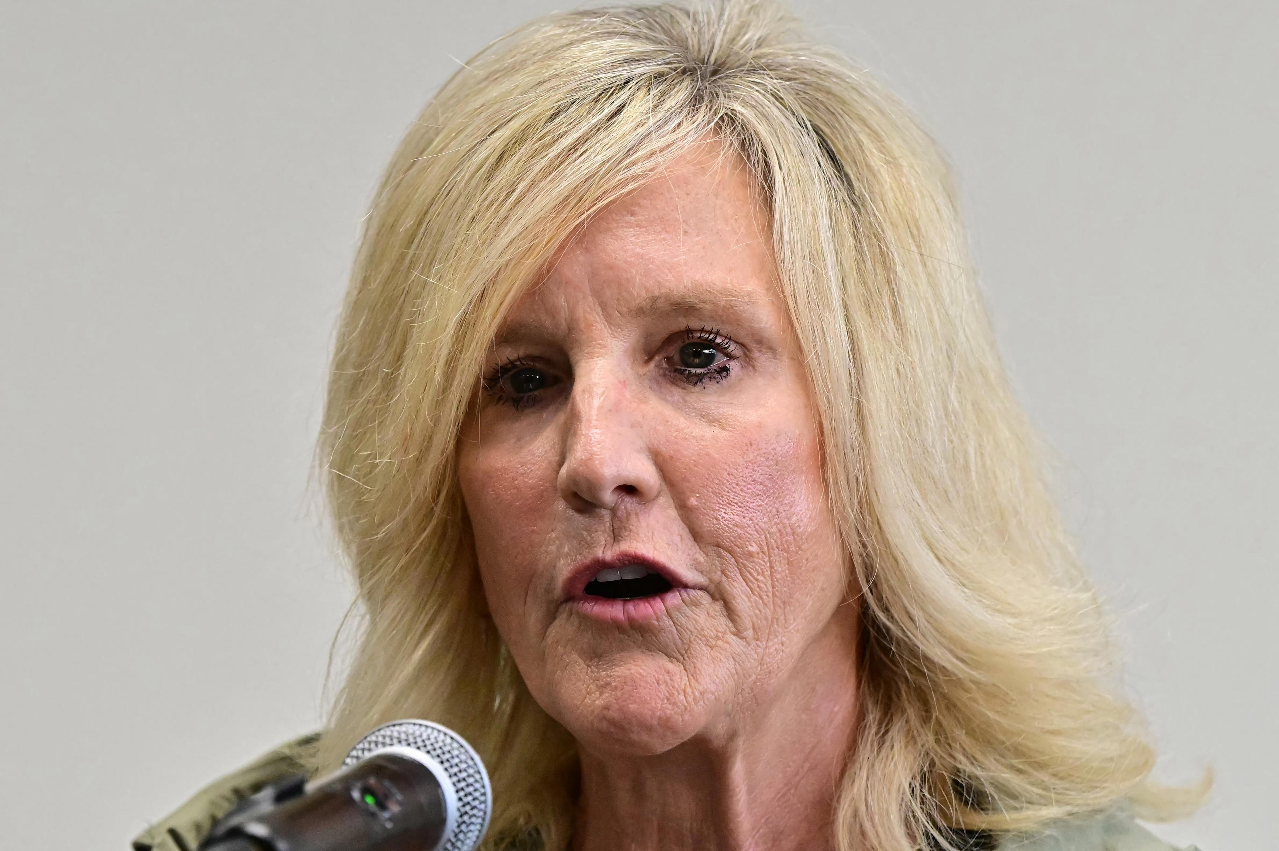 Data centers are booming in the US. Erin Brockovich is tracking them.