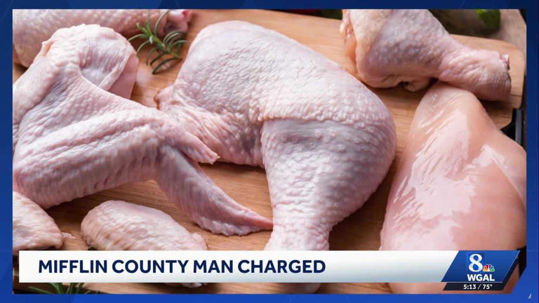 Man allegedly smeared raw chicken on a door and poured oil on a vending ...