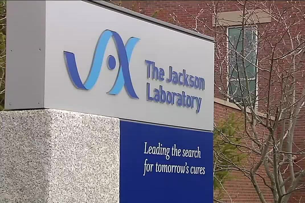 Four Maine businesses make Forbes best employers list