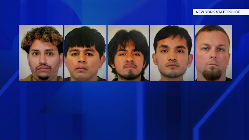 Child therapist among five men charged in Fishkill child exploitation ...
