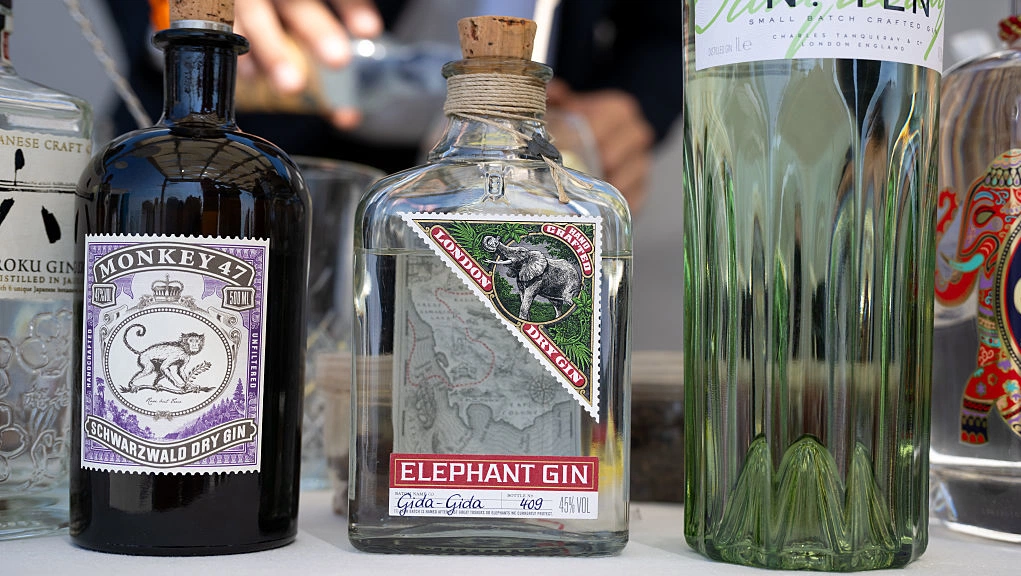 14 best value gins for refreshing gin and tonics
