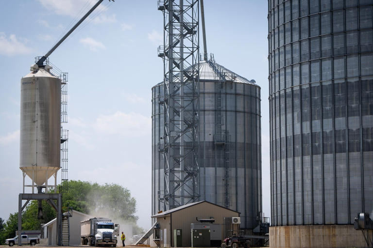 CHS to shutter three southern Minnesota grain elevators
