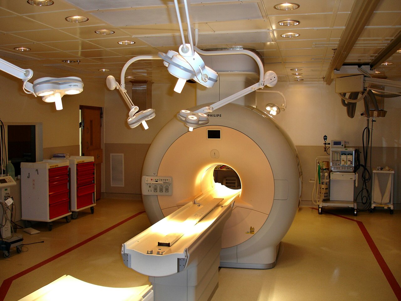 Immunotherapy added to radiation therapy boosts survival in localized ...