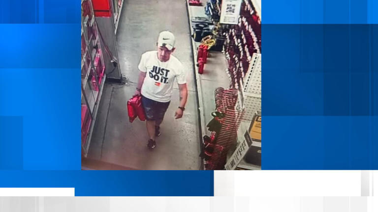 Winchester police looking for theft suspect