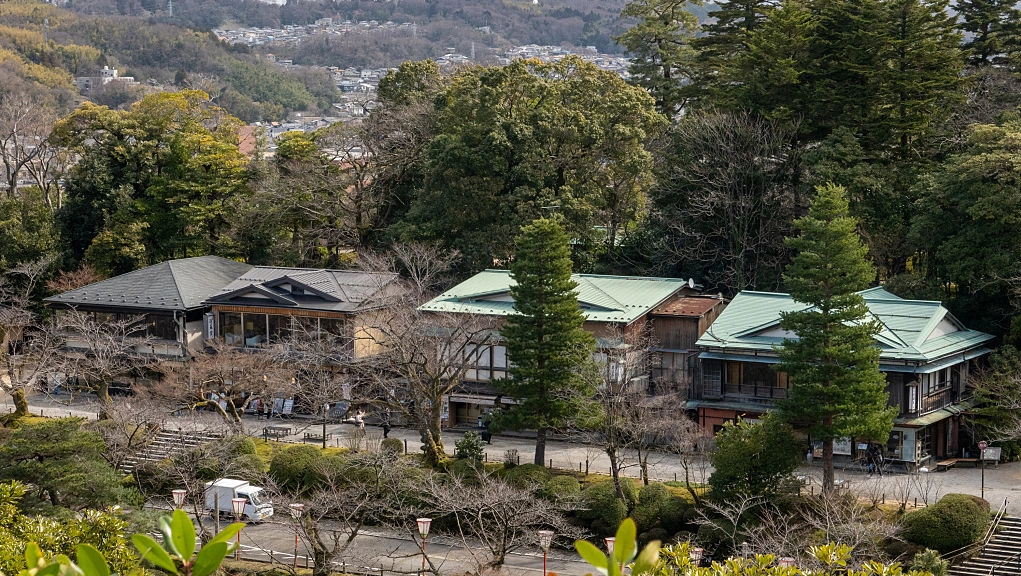 Principles and elements of Japanese garden design