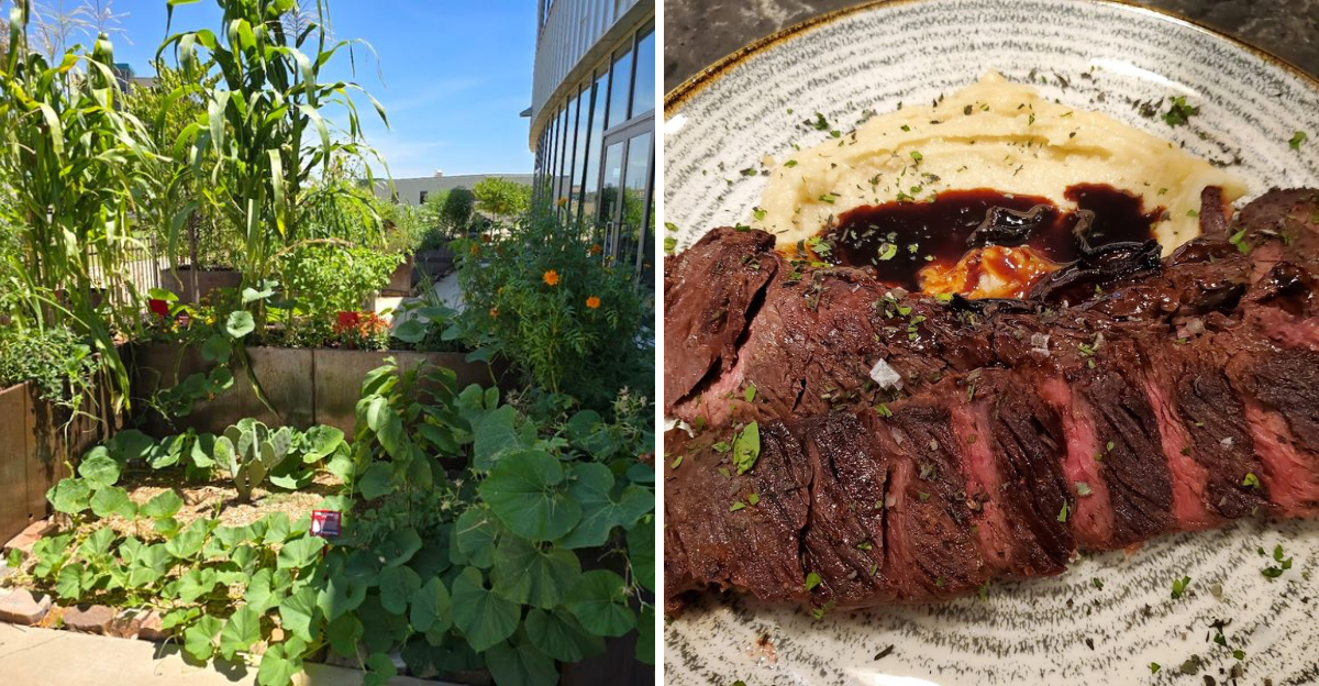 This Oklahoma indigenous restaurant is quietly redefining modern ...