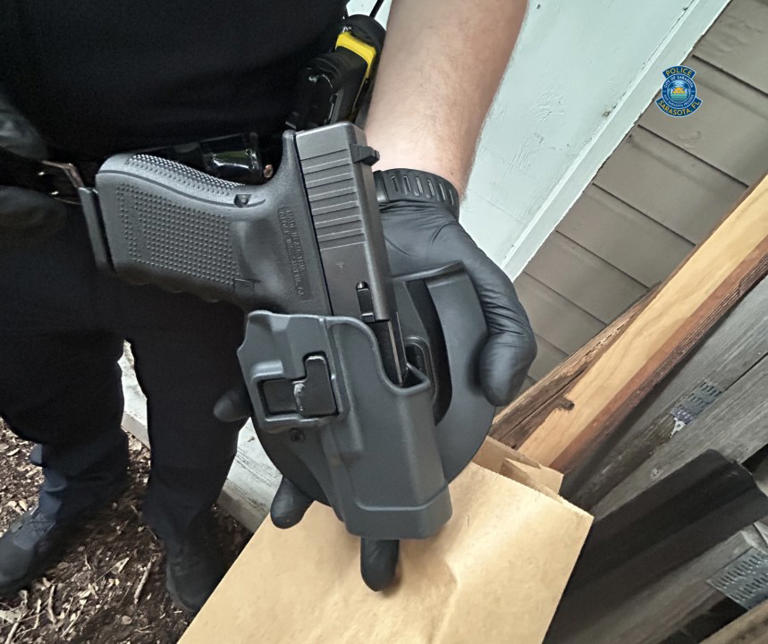 Armed, ski mask-wearing teen arrested after Sarasota police say he ...