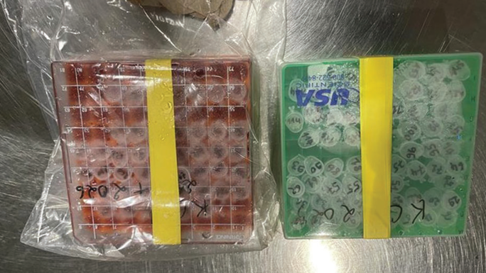 Two researchers charged with allegedly trying to smuggle MPOX through ...