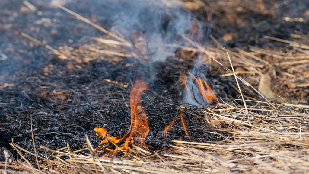 Michigan at very high to extreme fire risk across the state, officials say